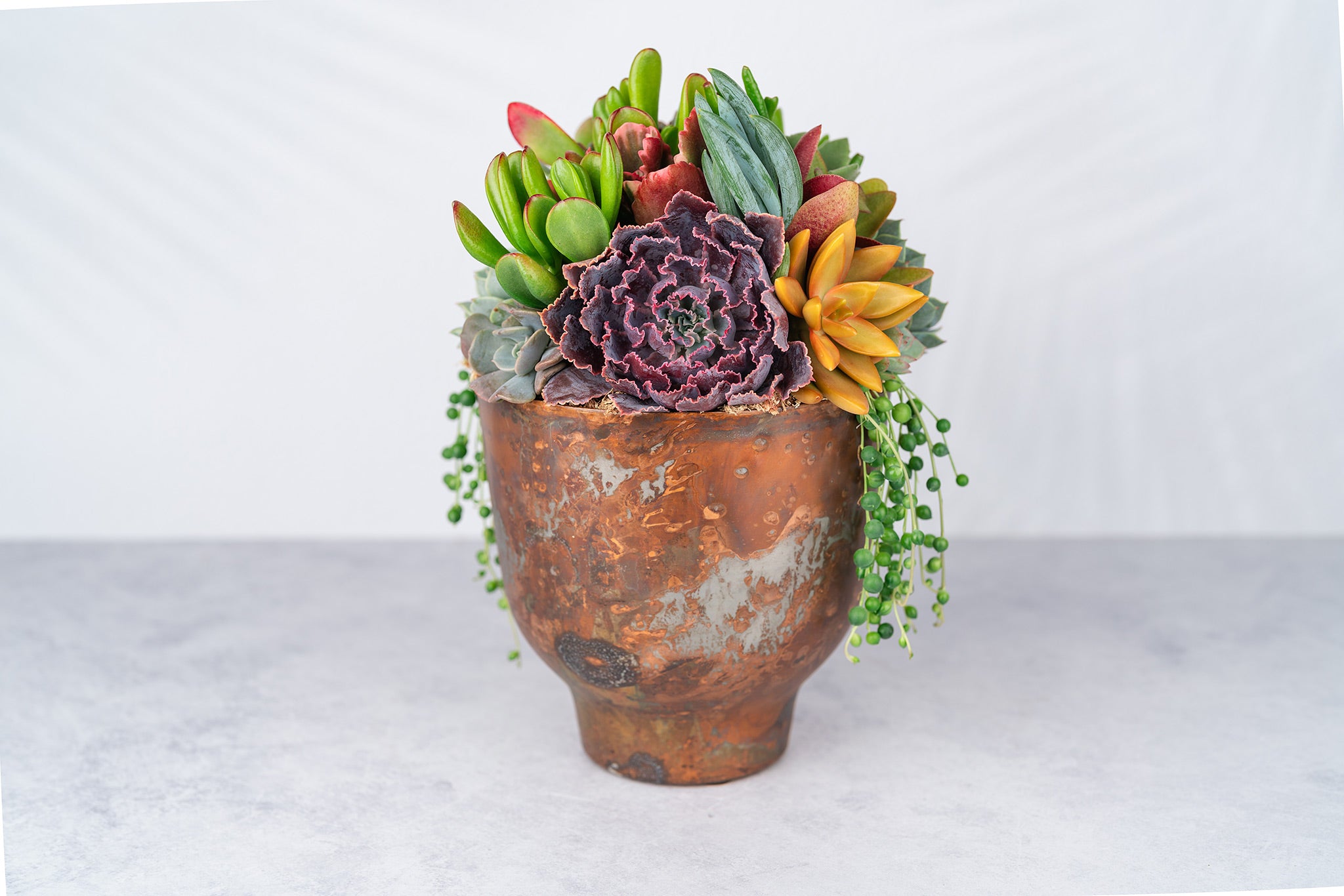 Copper Metal Compote Succulent Arrangement Planter