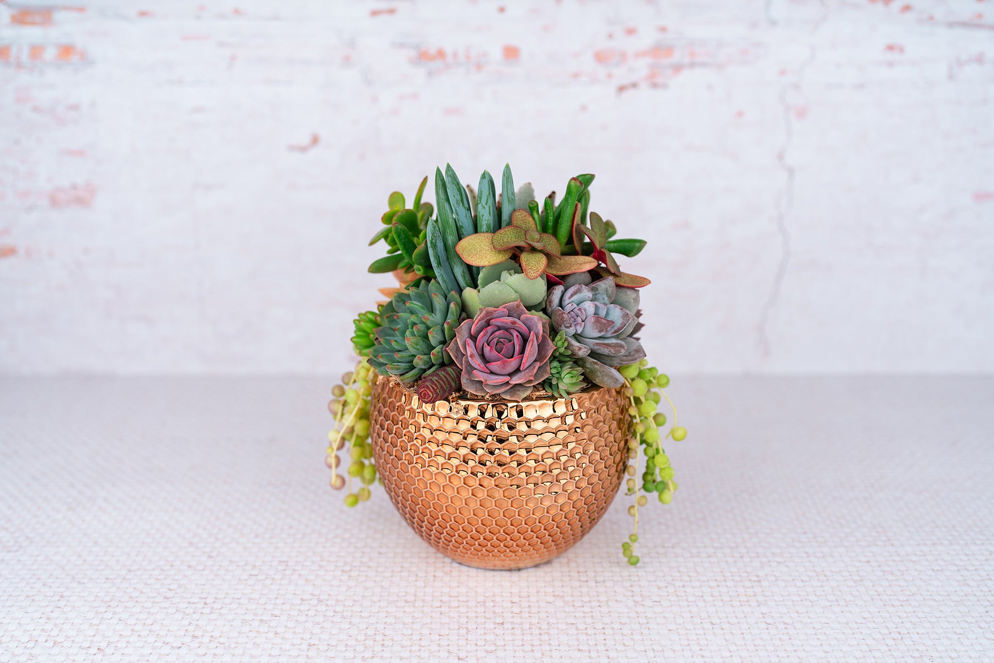Copper Honeycomb Succulent Arrangement Planter